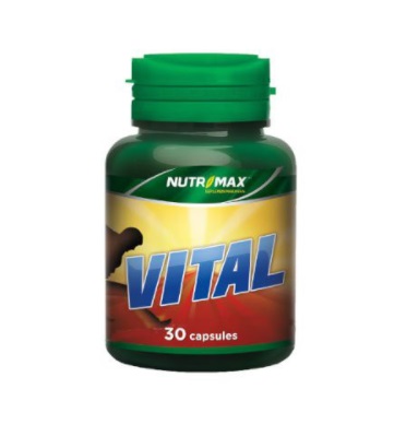 11 Rekomendasi Suplemen Zat Besi yang Kaya akan Manfaat Bagi Kesehatan ...