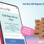Cek Resi JNE REG (Reguler) - Cekresi.com